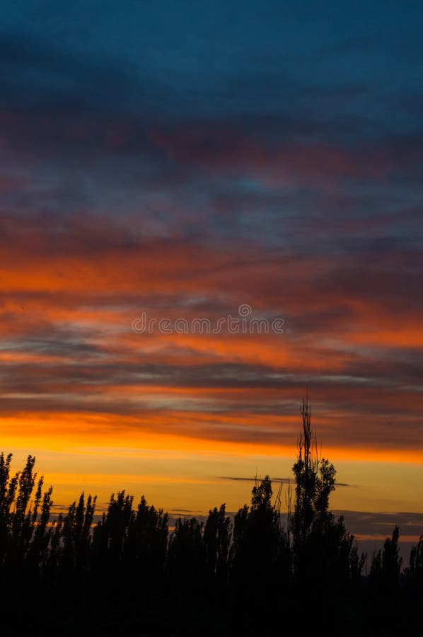 Landscape with Dramatic Light Stock Image - Image of forest ...