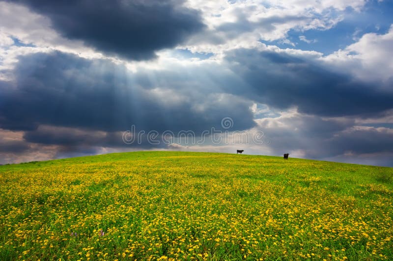 Landscape, dramatic sky stock image. Image of season - 16005903