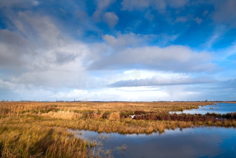 Danish bog land stock image. Image of blue, holidays - 13736035