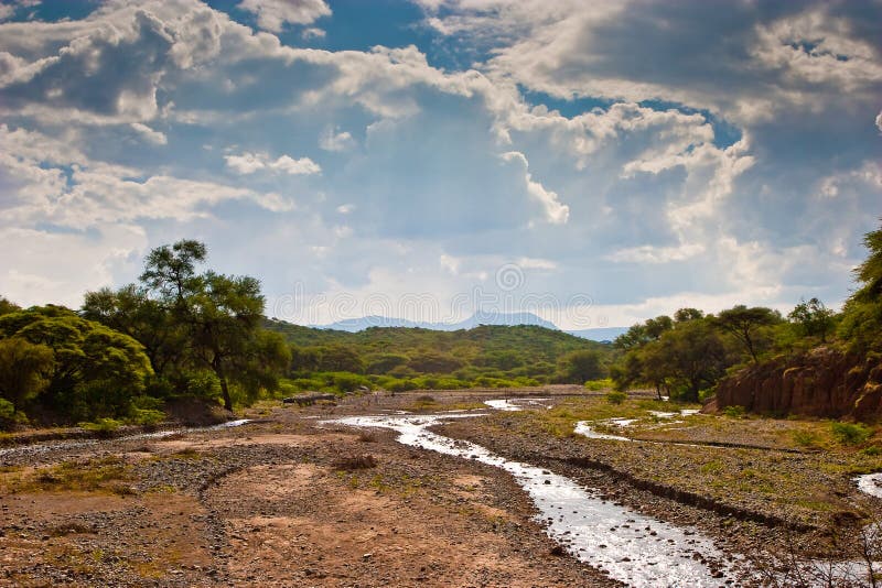 Landscape of a dry river stock photo. Image of park, creek - 10314550