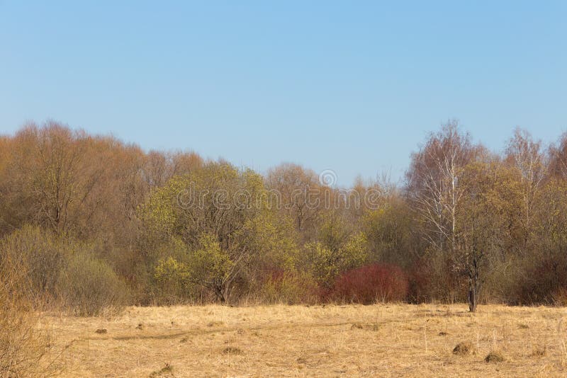 Landscape in early spring stock image. Image of environment - 39817935