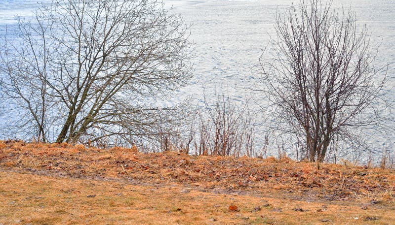 Landscape at Early Spring Day. Stock Photo - Image of plant, wood: 86196124