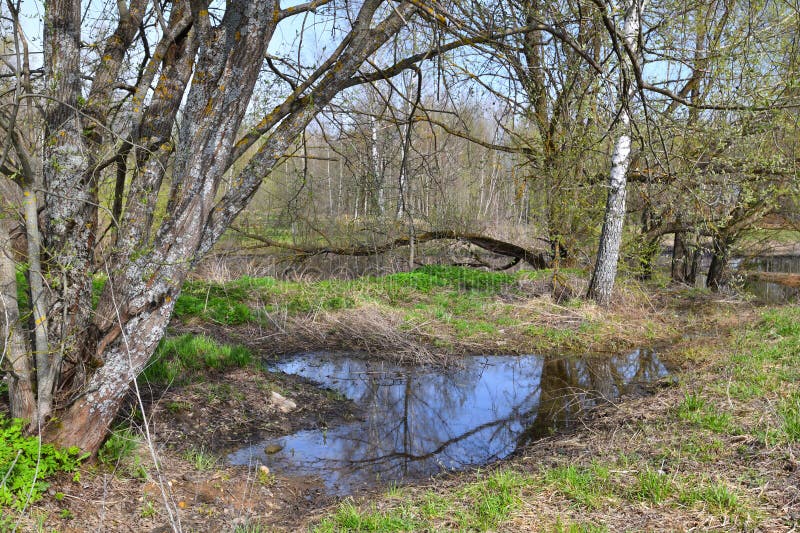 Landscape in Early Spring with Melt Water. Russia Stock Photo - Image ...