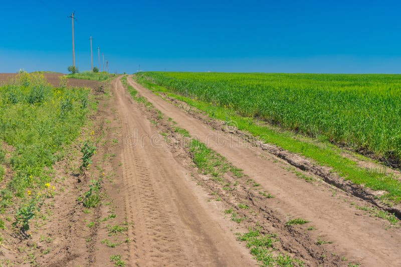 Landscape with an Earth Road Agricultural Fields in Central Ukraine ...