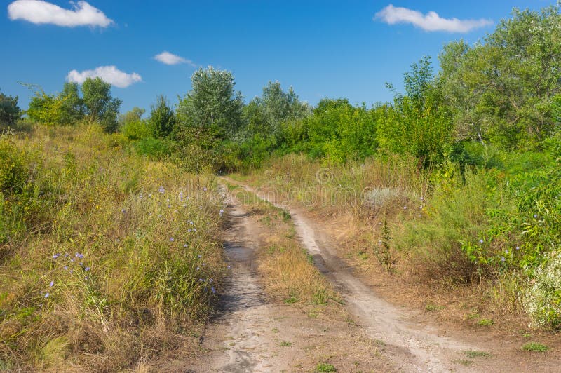 Landscape with an Earth Road in Overgrown Planting Stock Image - Image ...