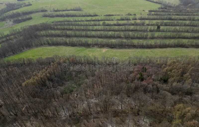 Landscape Ecology, Where Meadows are Divided into Strips of Stock Image ...