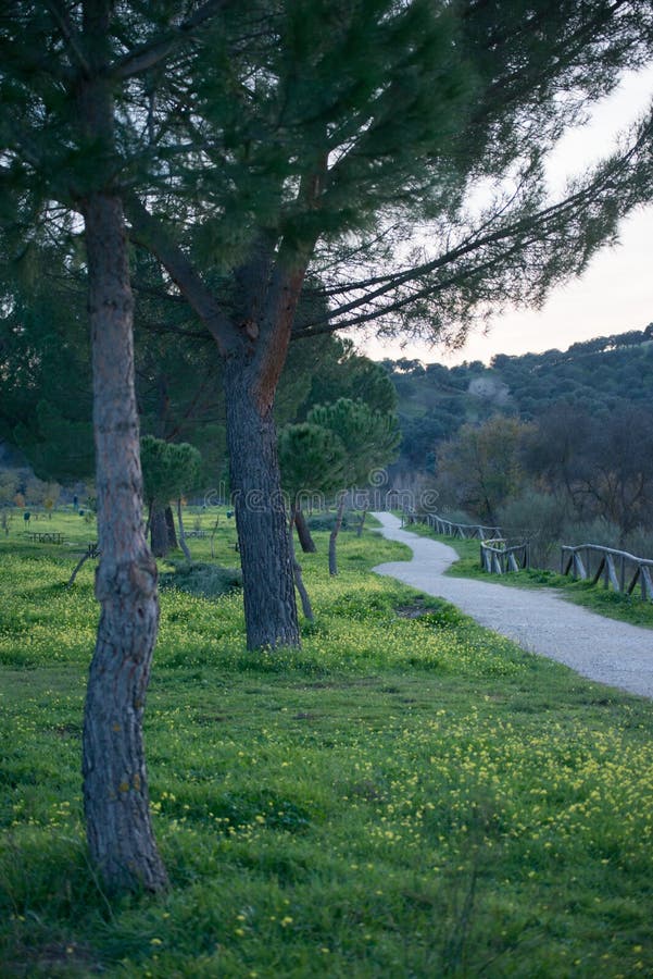 Landscape at El Pardo, Madrid. Green Meadow and Walking Path Stock ...