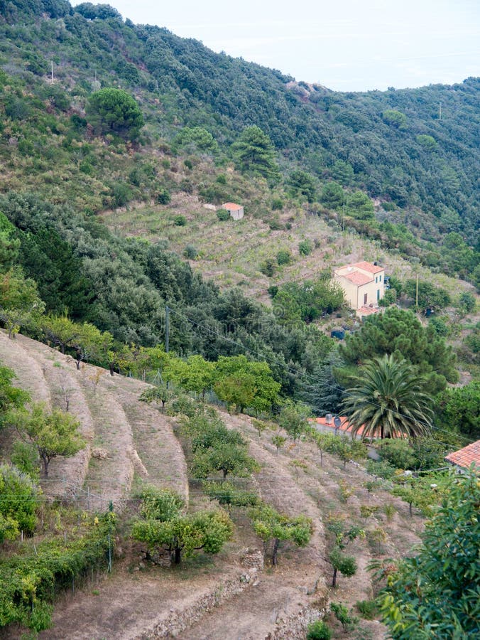Landscape of Elba Island Tuscany Italy Stock Image - Image of clouds ...