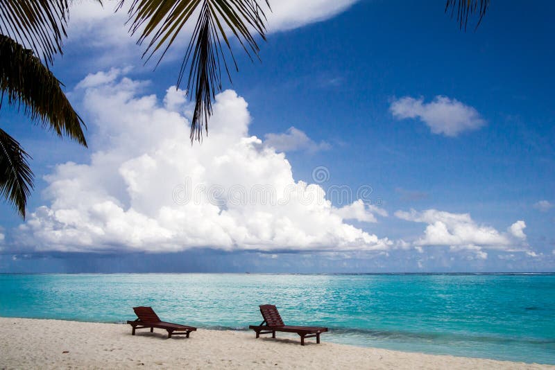 Landscape stock photo. Image of clouds, beach, palms - 49905726