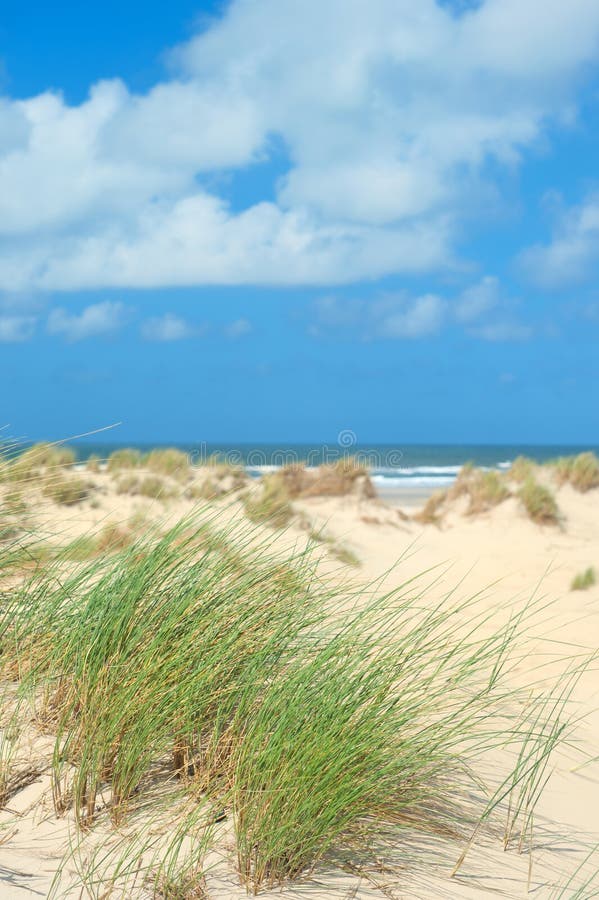 Landscape Empty Beach with Dunes Stock Image - Image of horizon, island ...