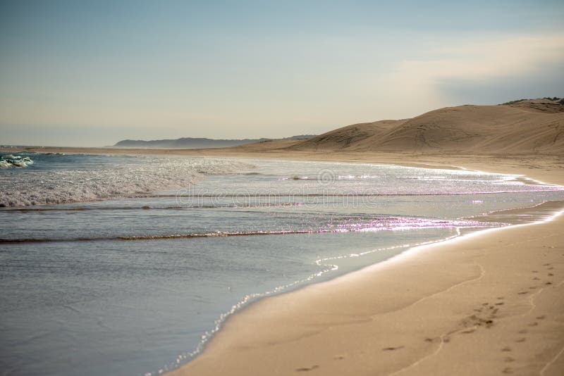 Landscape of Empty Beach with Sand Dunes in Background Stock Image ...