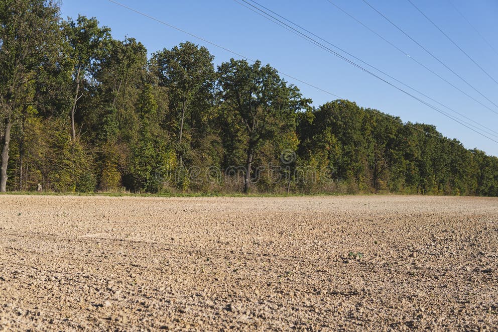 Landscape with Empty Fields in Front of Forest during Sunny Day in ...