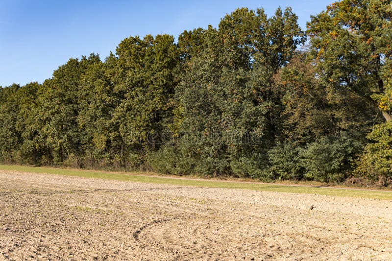 Landscape with Empty Fields in Front of Forest during Sunny Day in ...