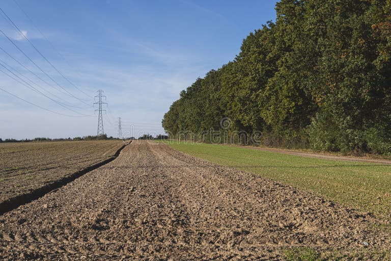Landscape with Empty Fields in Front of Forest during Sunny Day in ...