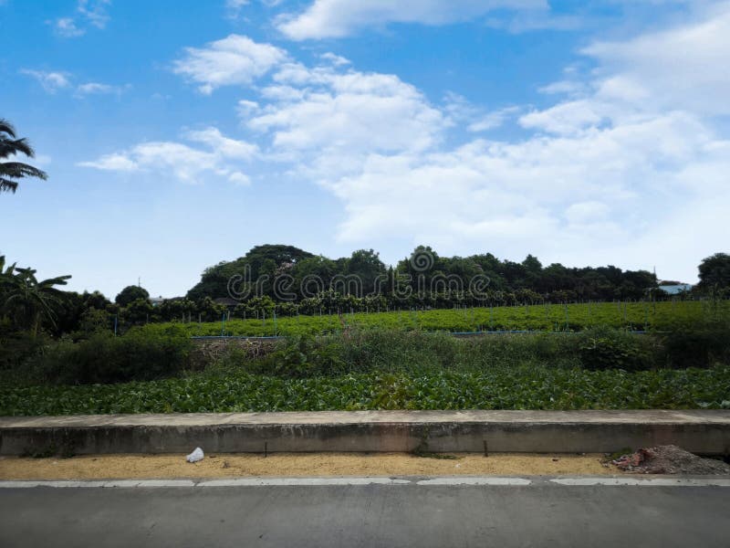 Land for Sales Concept. Landscape of Empty Land Plot for Development ...