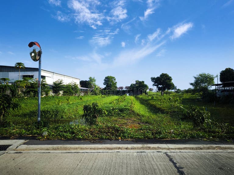 Land for Sales Concept. Landscape of Empty Land Plot for Development ...