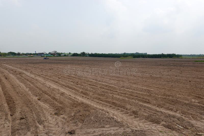 Plant crops stock photo. Image of agriculture, crop, greenhouse - 90384818