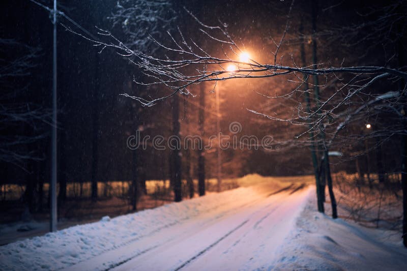 Landscape of Empty Night Winter Road Covered by Snow. Forest Scene ...