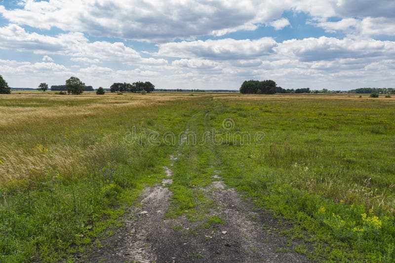 Landscape with an Empty Old Ground Road through Meadows on Flatlands in ...