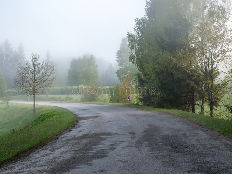 Landscape with an Empty Road Turn, Along the Edges of Tree Silhouettes ...