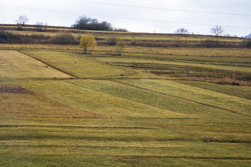 Landscape with Empty Rural Field after Harvesting and Lonely Trees ...