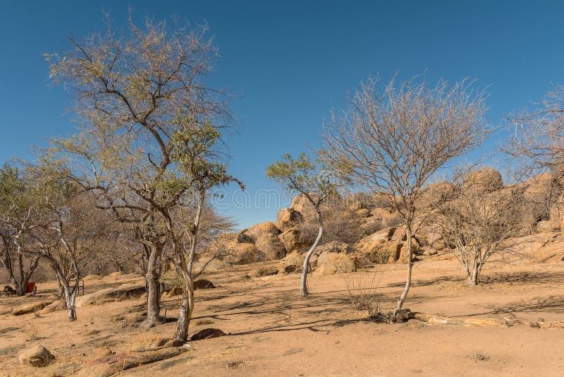 The Landscape of the Erongo Mountains in Namibia Stock Photo - Image of ...