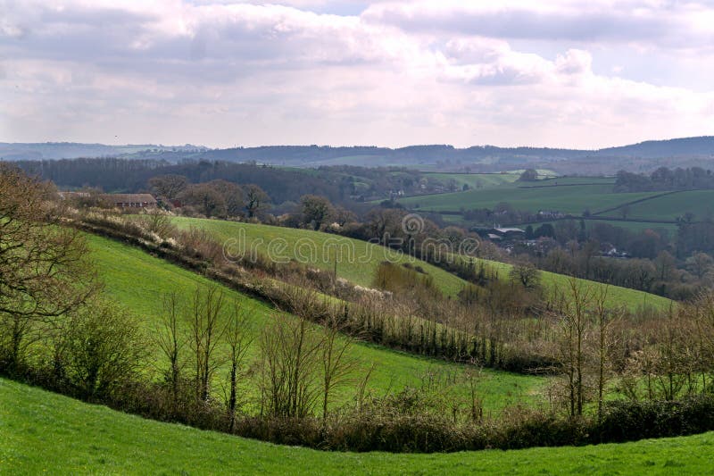 Landscape of Evergreen Fields and Meadows in England, Devon, Europe ...