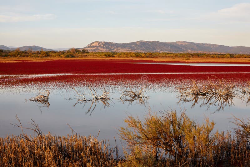 Landscape of Evros River in Greece. Stock Photo - Image of environment ...