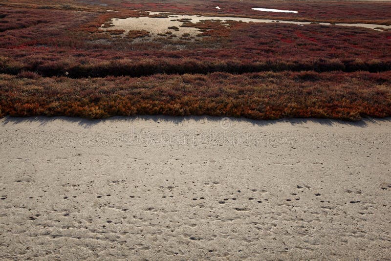 Landscape of Evros River in Greece. Stock Image - Image of water ...