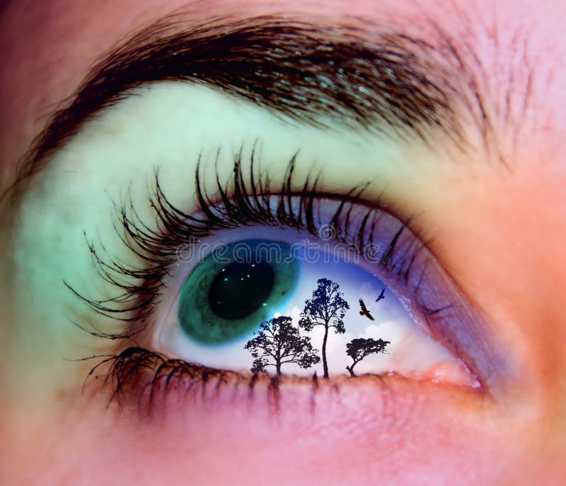 Landscape eye stock image. Image of bird, young, cosmetics - 38281009