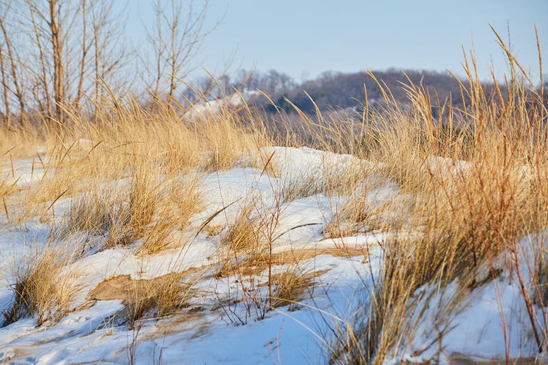Landscape of Fall Grasses and Snow on Sand Dunes Stock Image - Image of ...