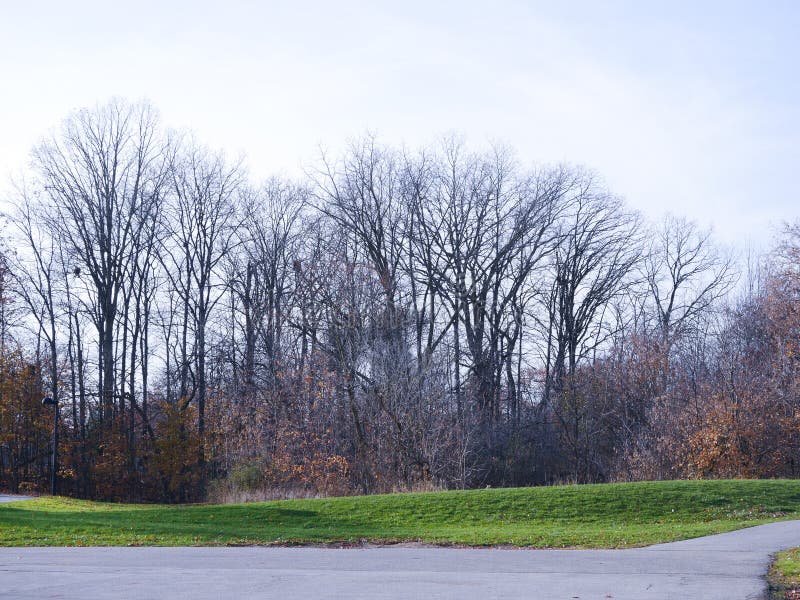 Fall Trees in Canada stock image. Image of christ, carefully - 105652759