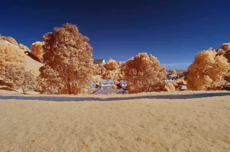Landscape in False Colors Taken with an Infrared Modified Camera Stock ...