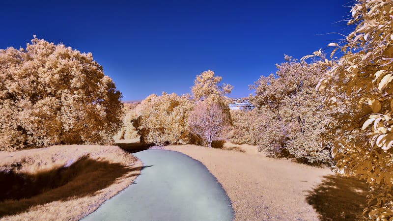 Landscape in False Colors Taken with an Infrared Modified Camera Stock ...