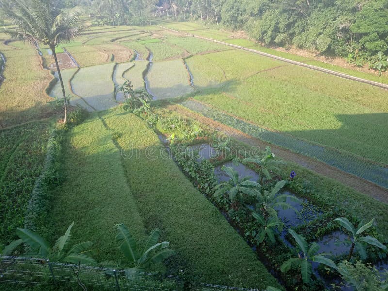 Landscape of Farm Land with Beautiful Object Stock Image - Image of ...