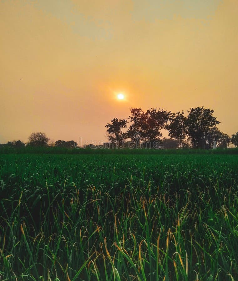 Landscape Farm and Sun View Stock Photo - Image of landscape, details ...