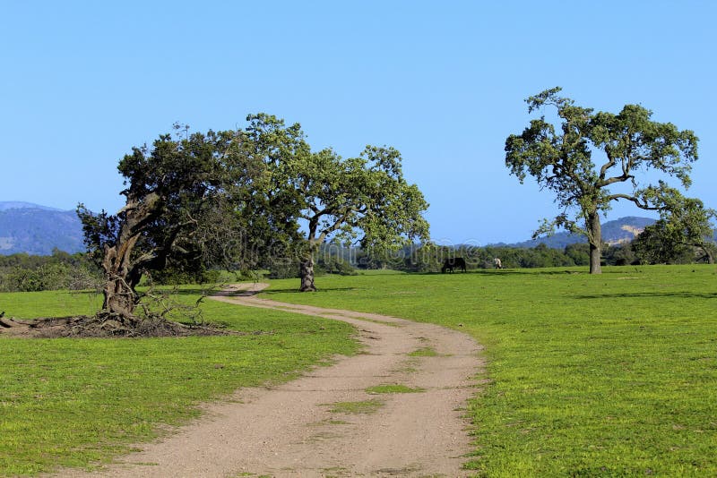 Farmland in California USA stock photo. Image of pasture - 2121056