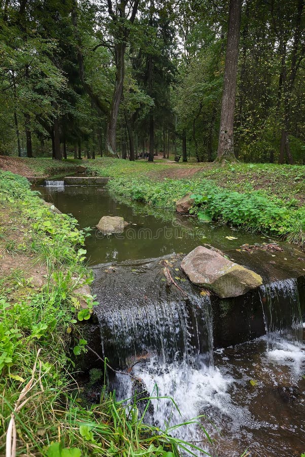 Stream and Stones. Forest River Stock Photo - Image of forest ...