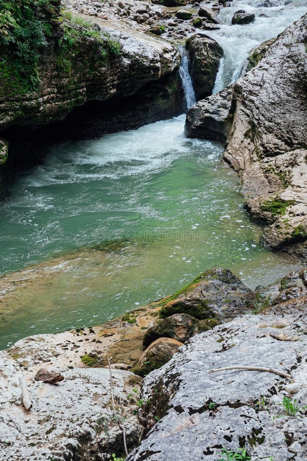 Beautiful Landscape Fast Mountain River and Green Forest Stock Image ...