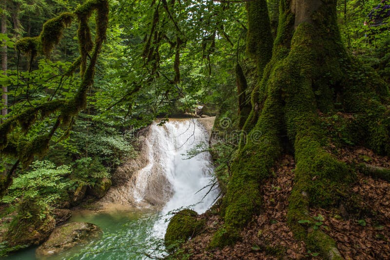 Landscape by Stream and Tree Stock Image - Image of tree, spreading ...