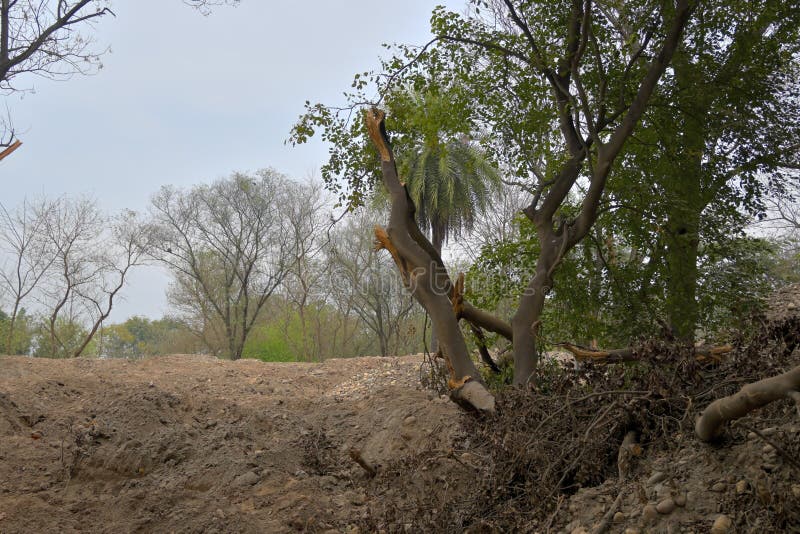 A Landscape Features an Eroded, Sandy Terrain with Sparse Vegetation ...