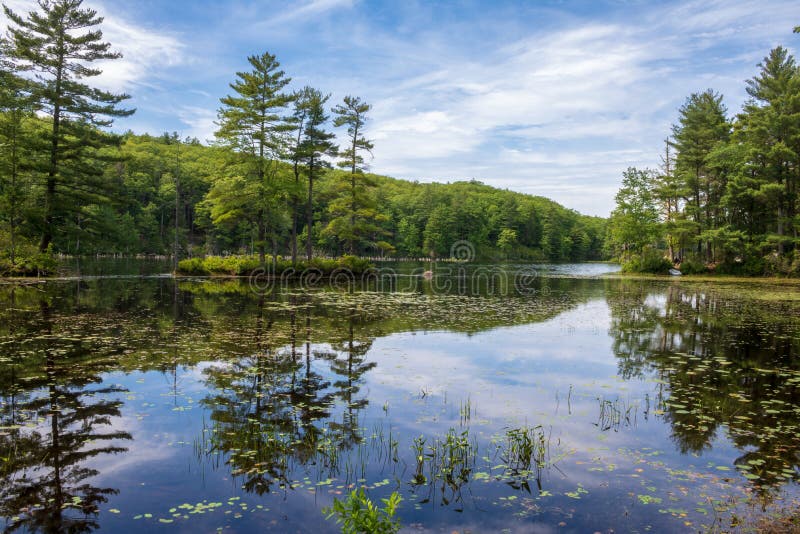 Trees Reflected in Breakneck Pond Stock Image - Image of landscape ...