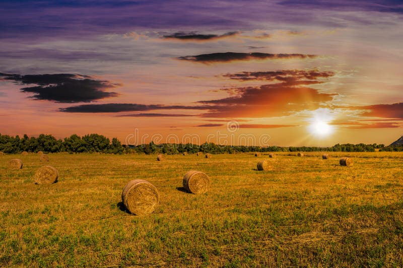 Landscape of Field with Bales of Hay at Sunset Stock Photo - Image of ...