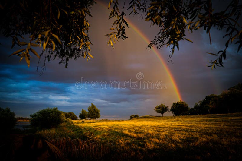 Landscape of a Field Covered in Greenery Under a Cloudy Sky with a ...