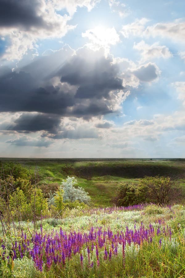 Landscape stock image. Image of scene, clouds, horizon - 36205965