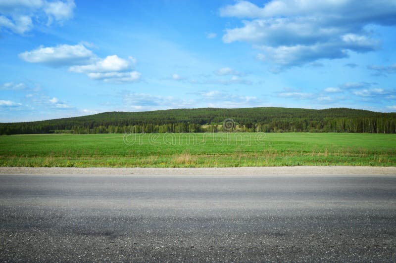 Landscape with a Field of Grass, Blue Sky and the Pine Forest Stock ...