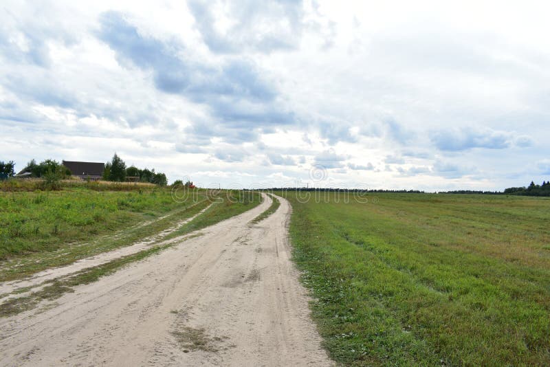 Landscape Field of Green Grass. Forest Areas. Rural Landscape Stock ...