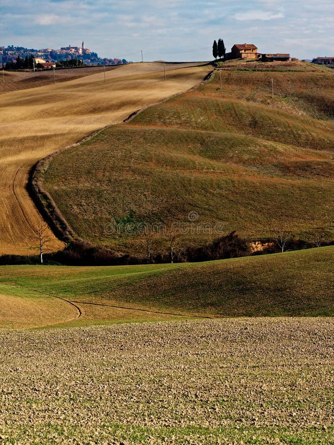 Landscape Field Hill Tuscany Italy Stock Photo - Image of hill, view ...