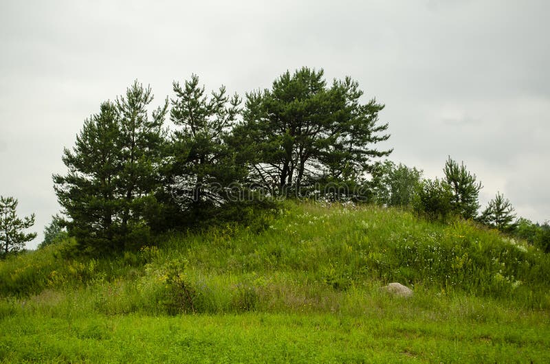 Landscape Field with Hills and Forests Stock Image - Image of outdoors ...