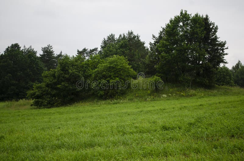 Landscape Field with Hills and Forests Stock Photo - Image of field ...